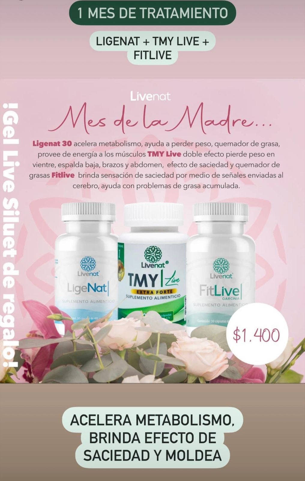 LigeNat + TMY live + fitLive - Livenat